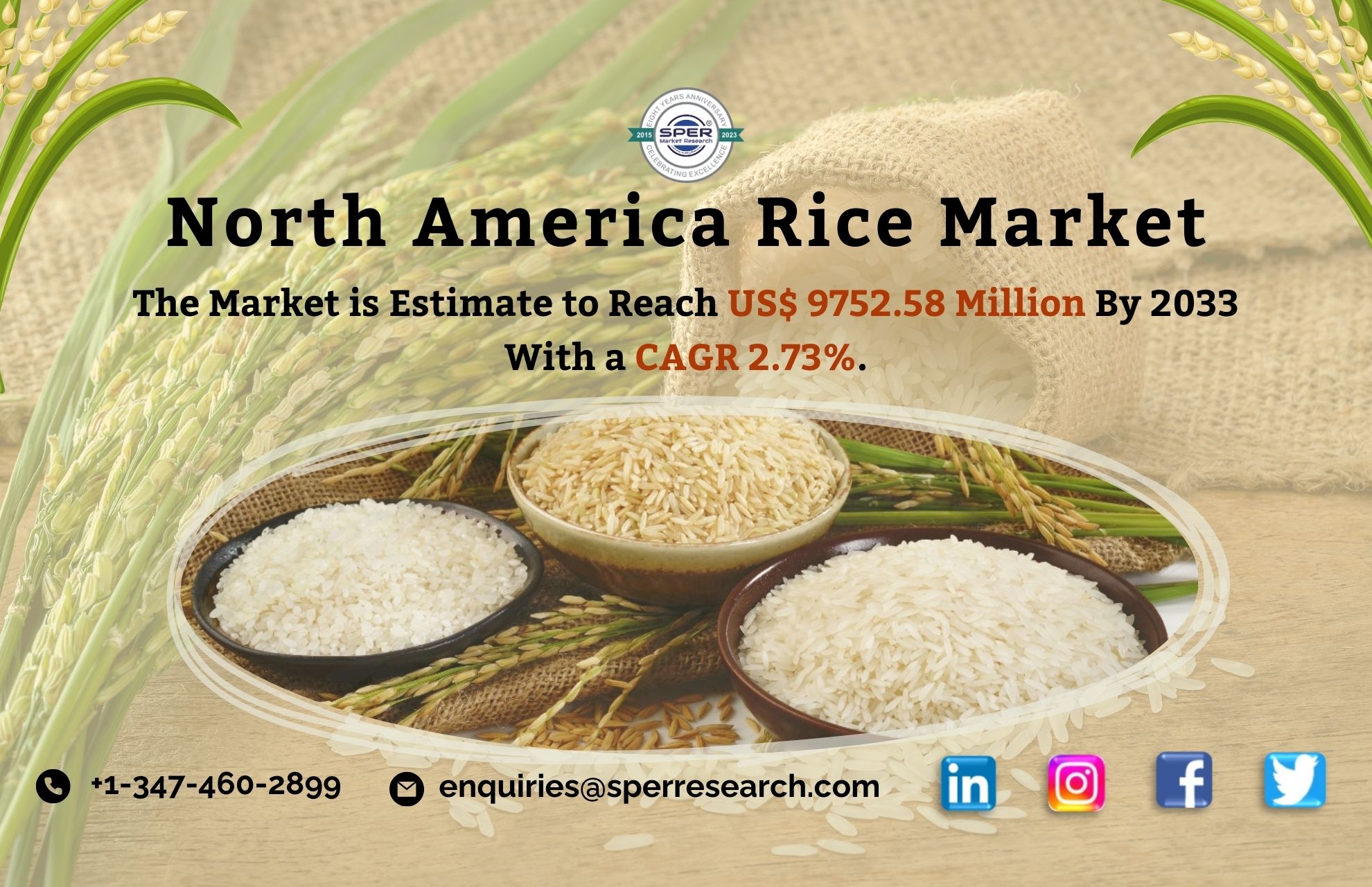 North America Rice Market Share, Growth and Outlook till 2033